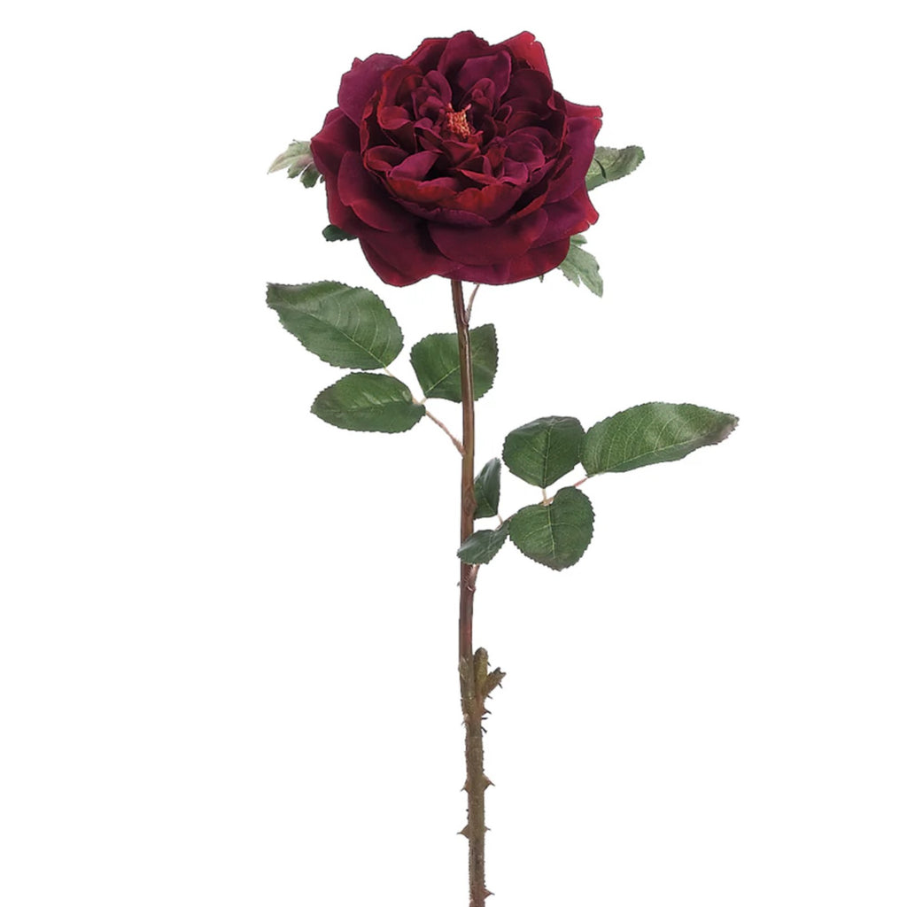 20 in --- Wine Color --- Handwrapped Silk English Rose Flower Spray ...